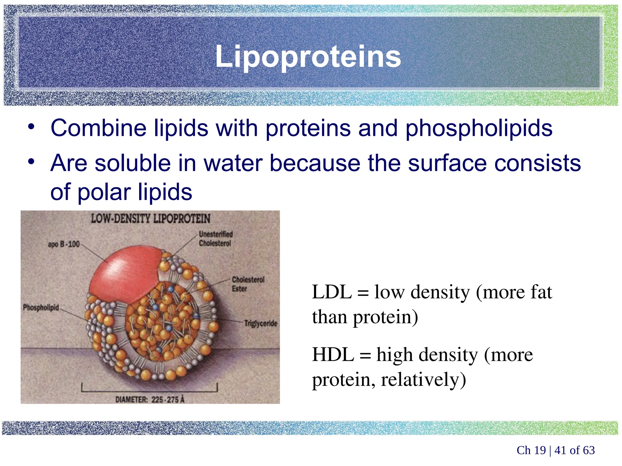 LIPIDS - Powerpoint (RECENT 2)Lipids and lipoproteins. Includes the ...