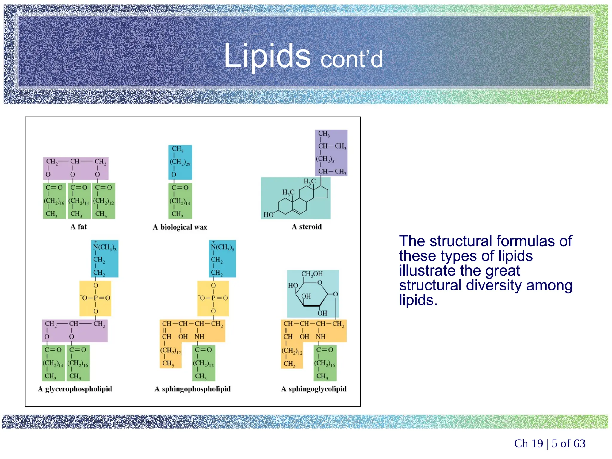 LIPIDS - Powerpoint (RECENT 2)Lipids and lipoproteins. Includes the ...