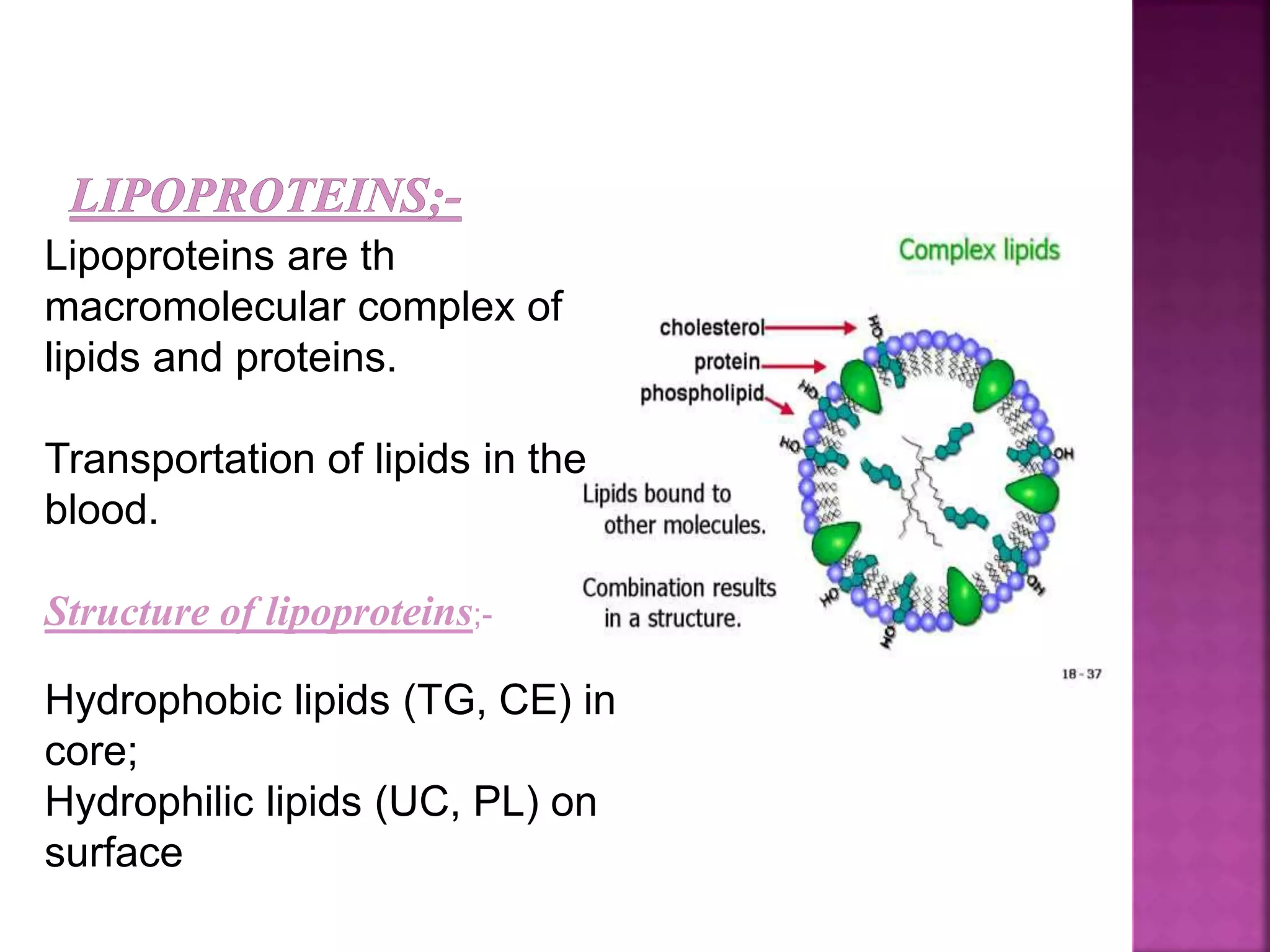 Lipids-PPT.pptx