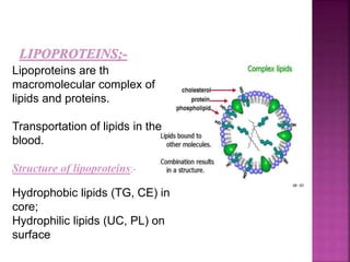 Lipids-PPT.pptx