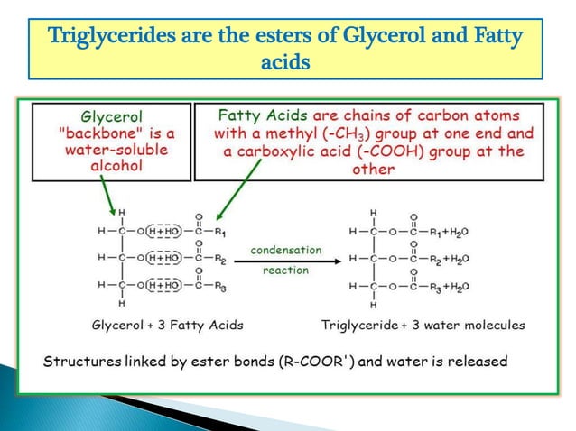 Lipids properties, classification, function | PPTX | Chemistry | Science