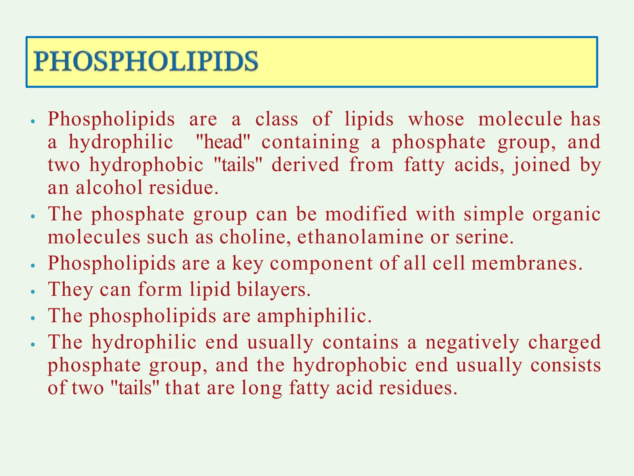 lipids-propertiesclassificationfunction.pptx