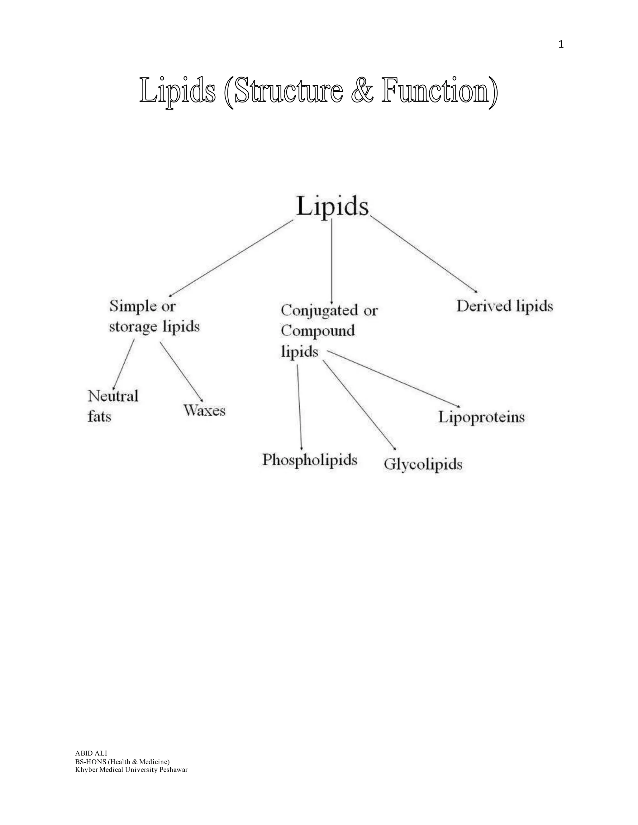 Lipids (structure & function) | DOCX