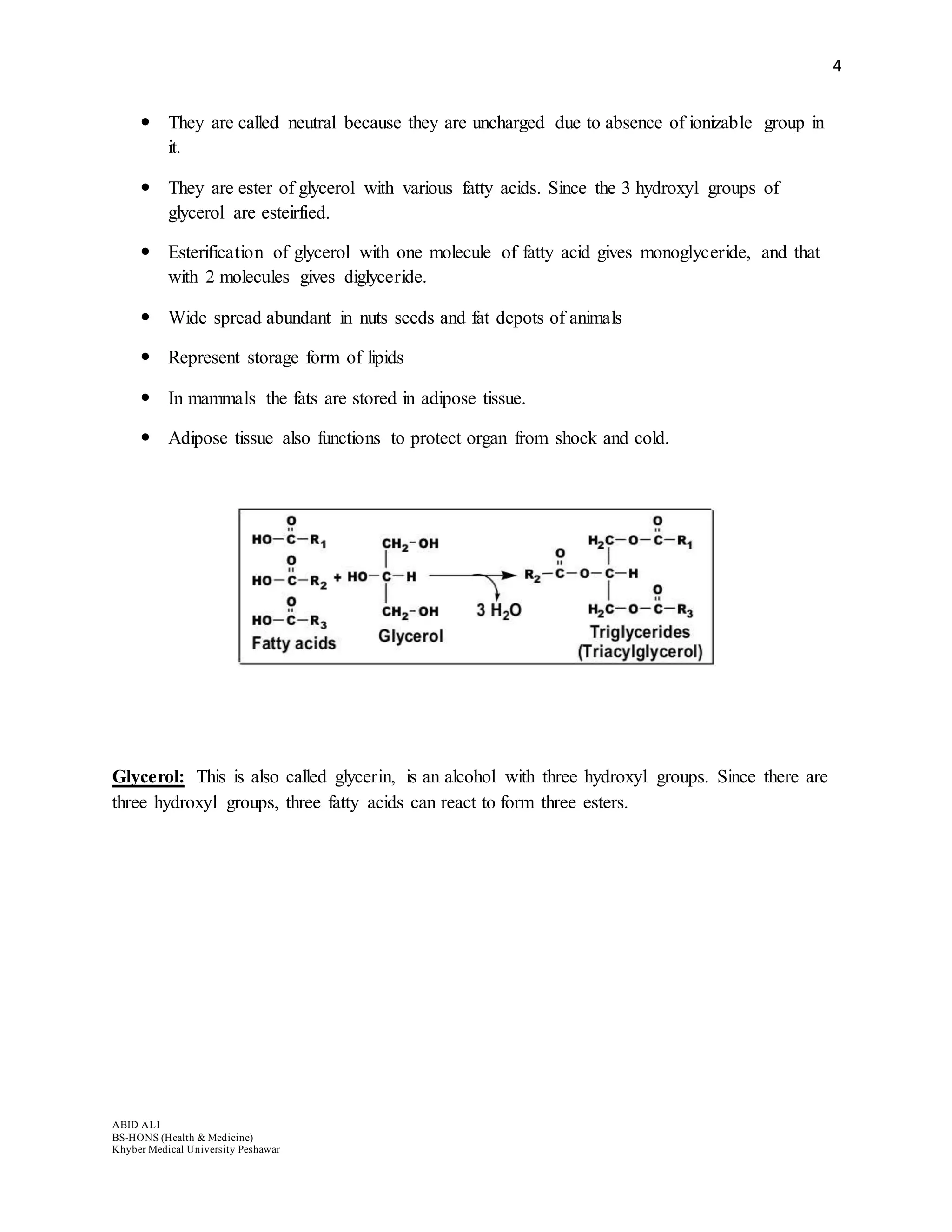 Lipids Structure And Function Docx 8072
