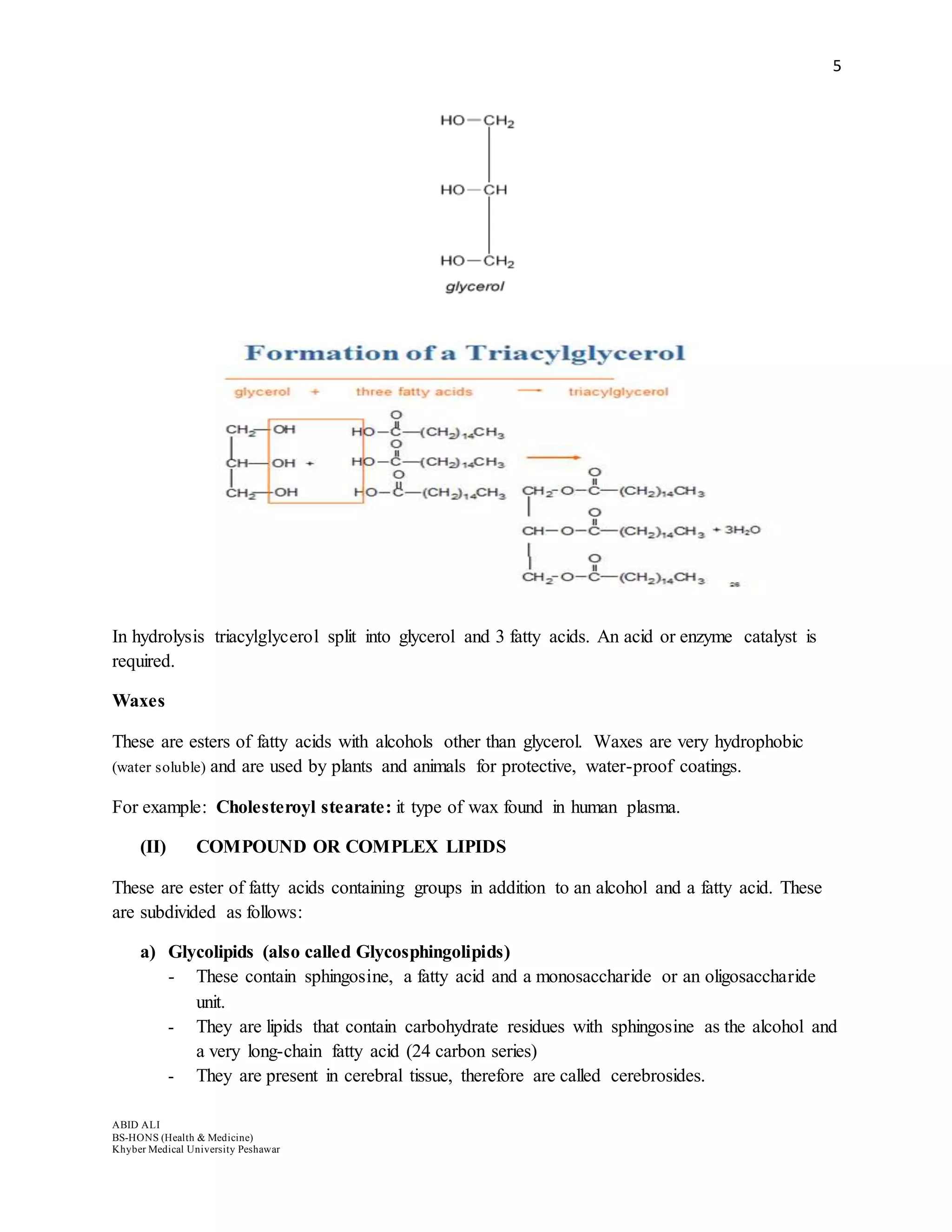 Lipids (structure & function) | DOCX