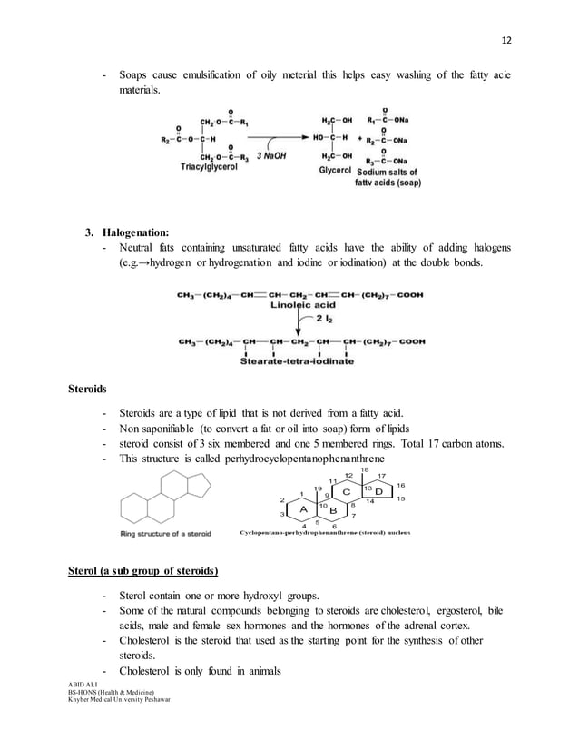 Lipids Structure And Function Docx 7506
