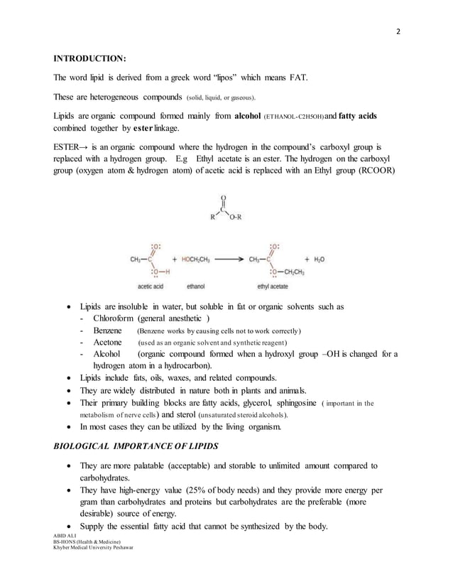 Lipids (structure & function) | DOCX