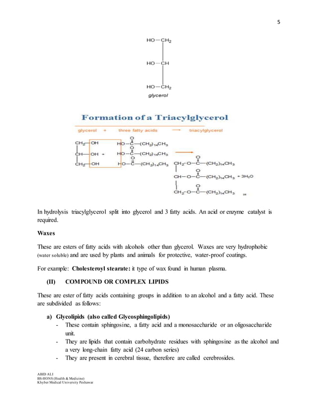 Lipids Structure And Function Docx 8979