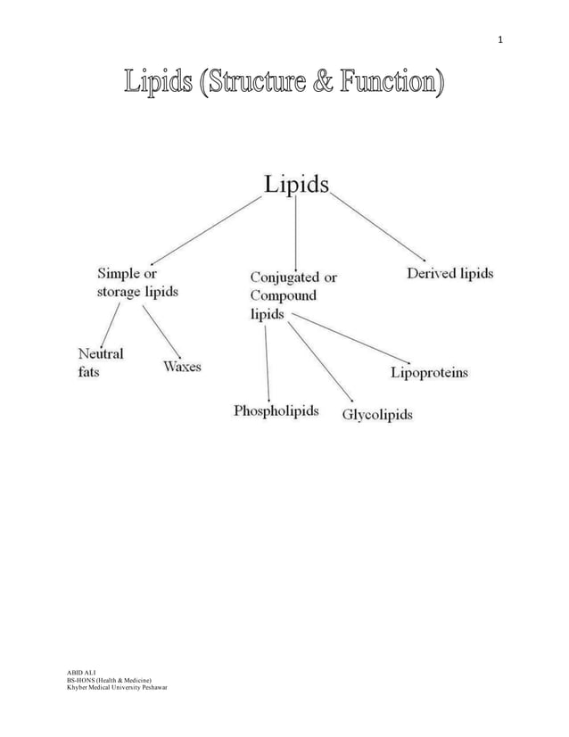 Lipids (structure & function) | PDF