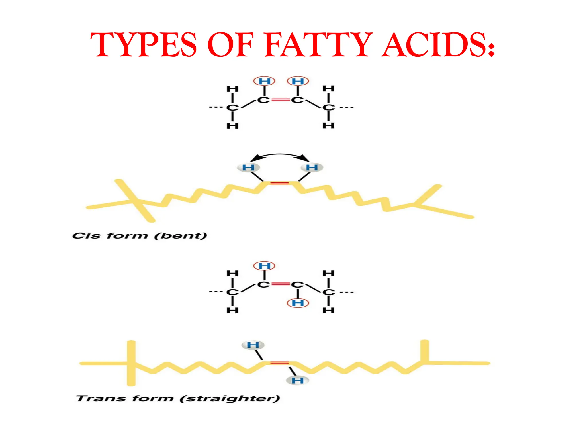 LIPIDS -STRUCTURE AND FUNCTION..pptx bchem | PPTX