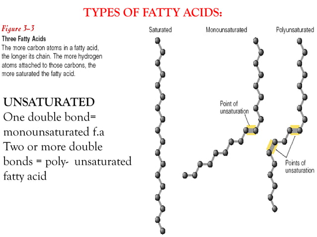LIPIDS -STRUCTURE AND FUNCTION..pptx bchem | PPT