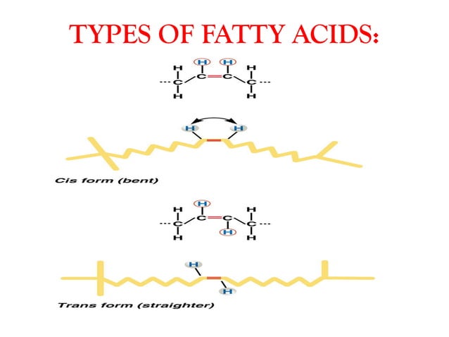 LIPIDS -STRUCTURE AND FUNCTION..pptx bchem | PPT