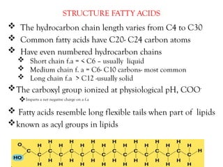 LIPIDS -STRUCTURE AND FUNCTION..pptx bchem | PPTX