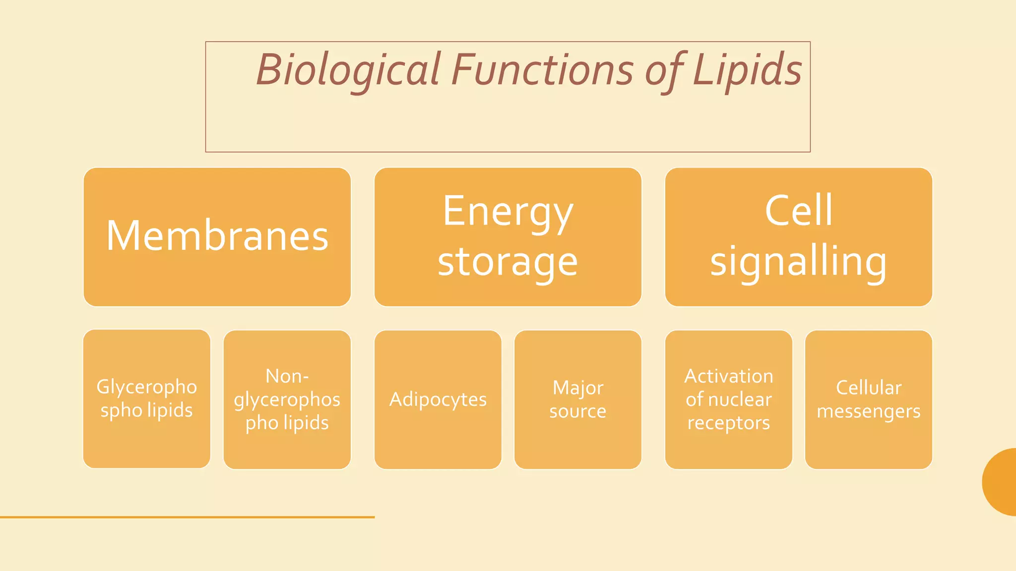 Lipids structure, classification, functions and properties | PPTX | Chemistry | Science