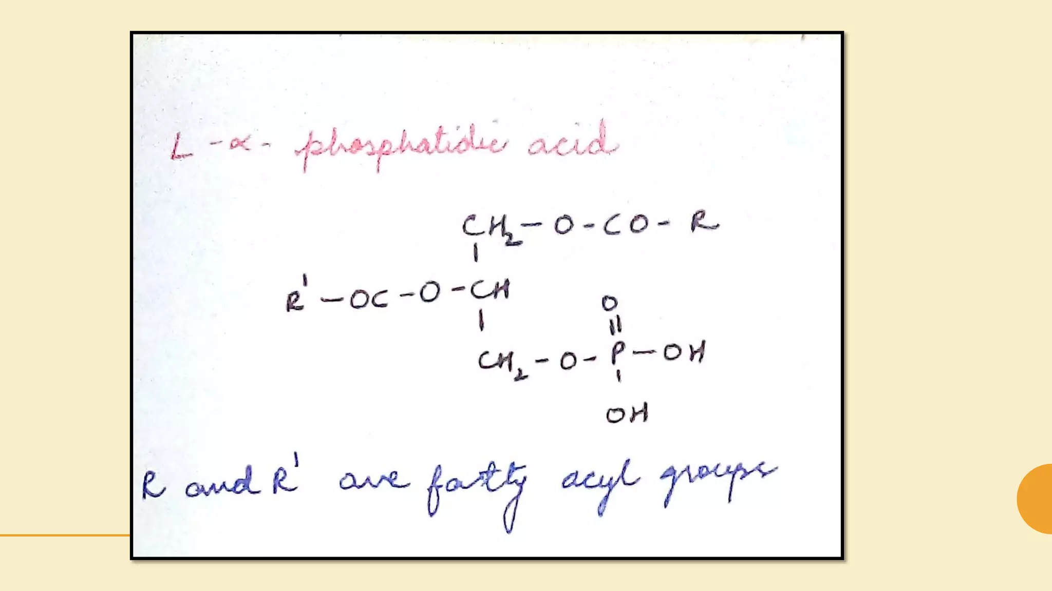 Lipids structure, classification, functions and properties | PPTX