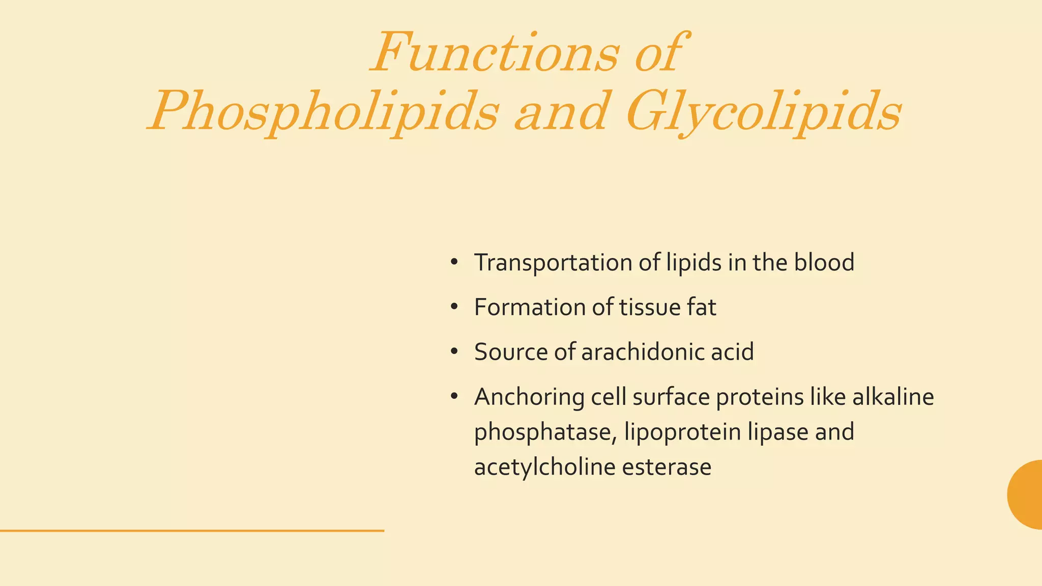 Lipids structure, classification, functions and properties | PPTX