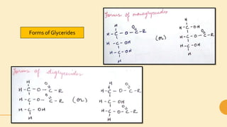 Lipids structure, classification, functions and properties | PPTX