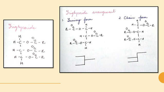 Lipids structure, classification, functions and properties | PPTX | Chemistry | Science