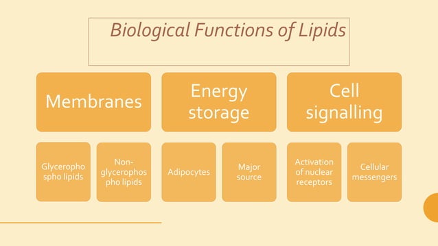 Lipids structure, classification, functions and properties | PPTX ...