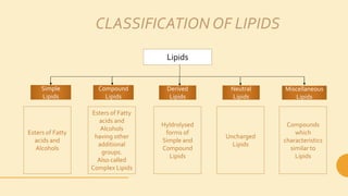 Lipids structure, classification, functions and properties | PPTX