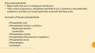 Lipids structure, classification, functions and properties | PPTX ...