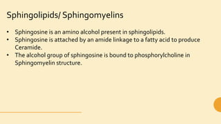 Lipids structure, classification, functions and properties | PPTX