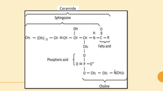Lipids structure, classification, functions and properties | PPTX