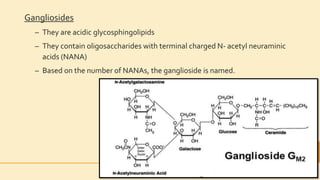 Lipids structure, classification, functions and properties | PPTX
