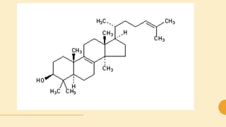 Lipids structure, classification, functions and properties | PPTX