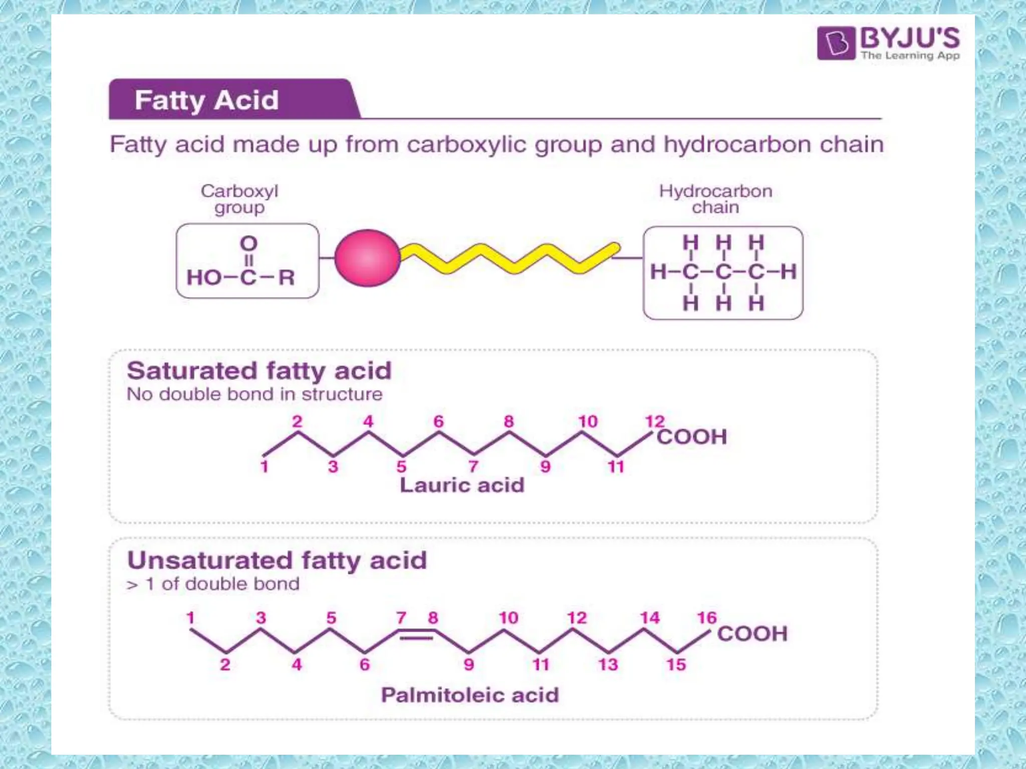 lipids classification and functions (1).pptx