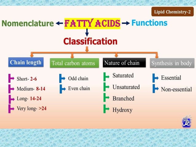 lipids classification and functions (1).pptx