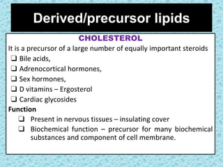lipids classification and functions (1).pptx