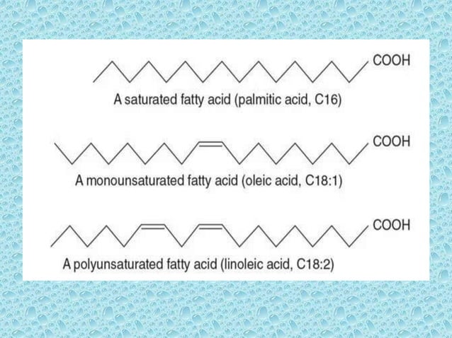 lipids classification and functions (1).pptx