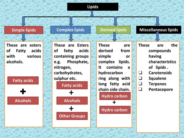 lipids classification and functions (1).pptx