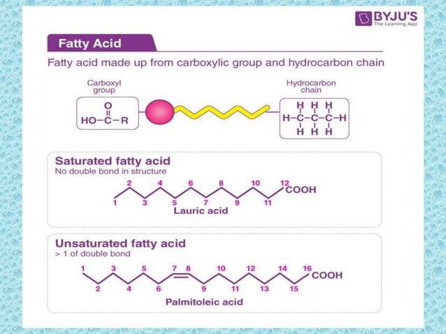 lipids classification and functions (1).pptx