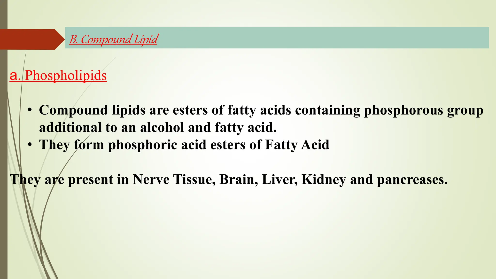 Introduction to lipids as biomolecules presented by Patil J. N. | PPTX