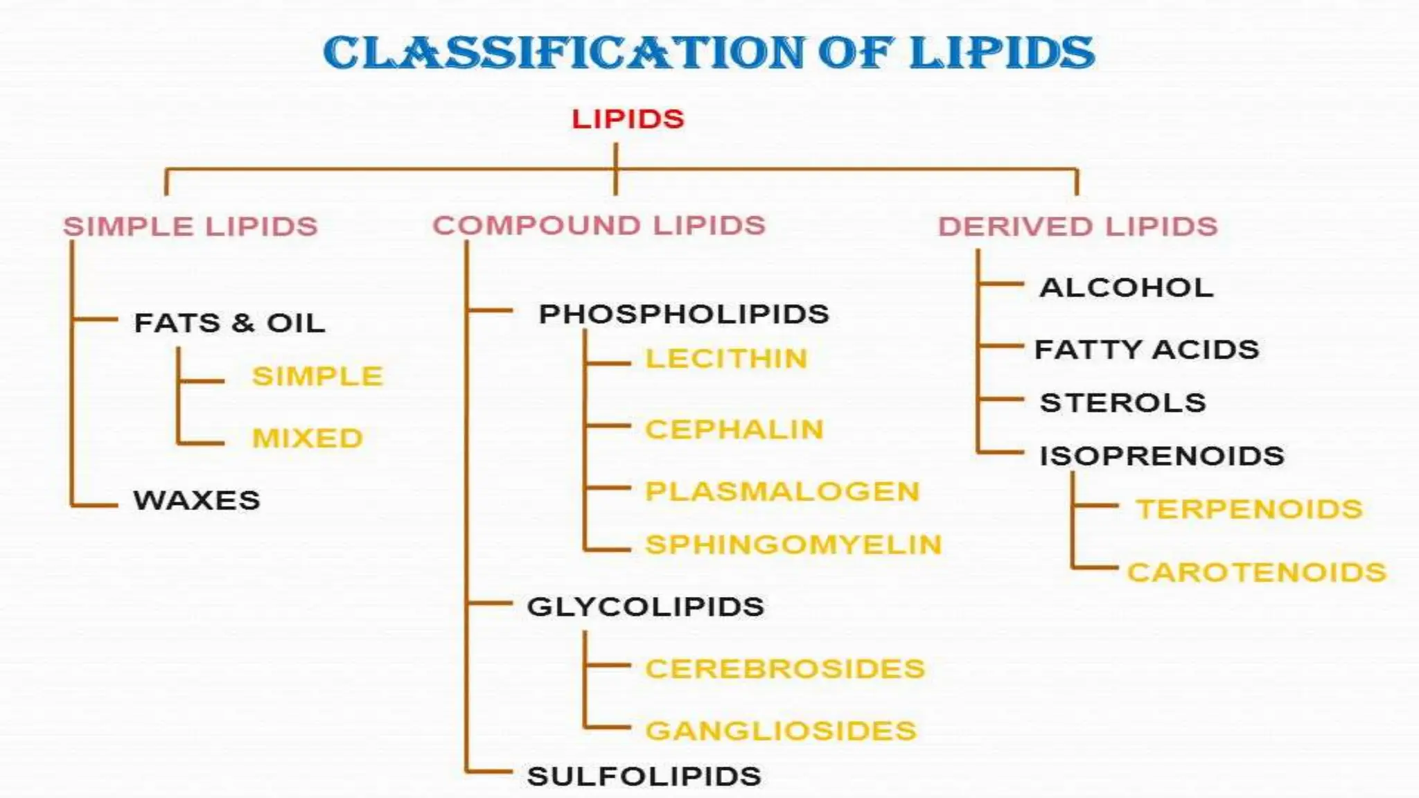 Introduction to lipids as biomolecules presented by Patil J. N. | PPTX