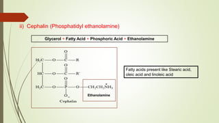 Introduction to lipids as biomolecules presented by Patil J. N. | PPT