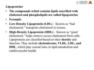 Comprehensive Overview of Lipids: Classification, Structure, Functions ...