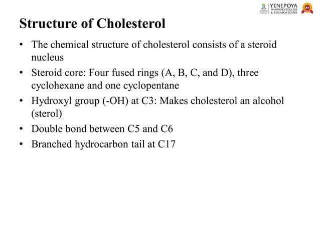 Comprehensive Overview of Lipids: Classification, Structure, Functions ...