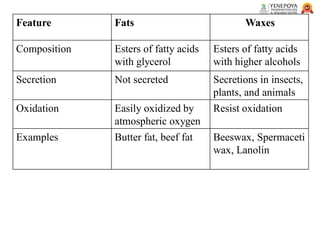 Comprehensive Overview of Lipids: Classification, Structure, Functions ...