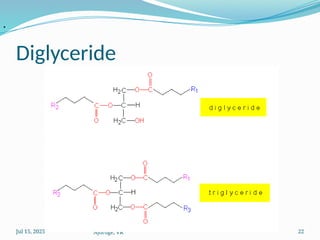 LIPIDS metabolism to introduction ).pptx