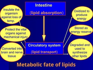 LIPIDS 2.pptccjfjfjfjfjdjdjfjffjfjfjfjrjffkfk | PPT