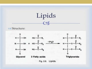 Biochemistry 1- lipids experiment presentation | PDF