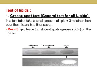 Biochemistry 1- lipids experiment presentation | PDF
