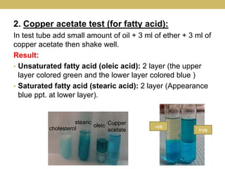 Biochemistry 1- lipids experiment presentation | PDF