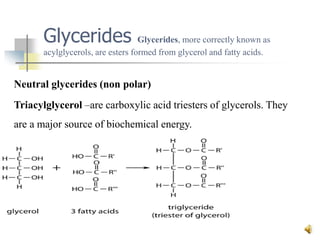 Lipids 2nd.ppt