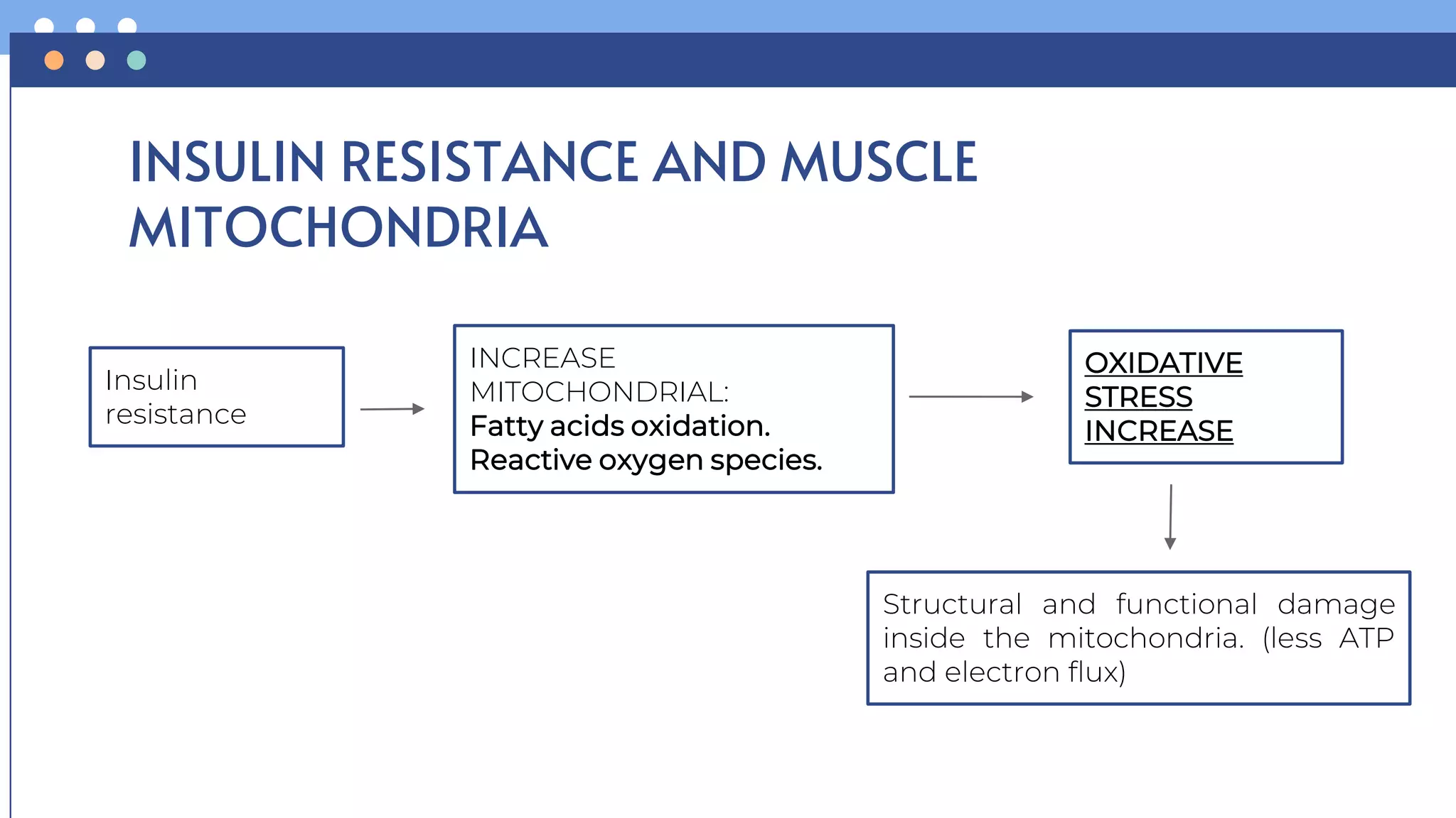 Lipids activate skeletal muscle mitochondrial fission and quality ...