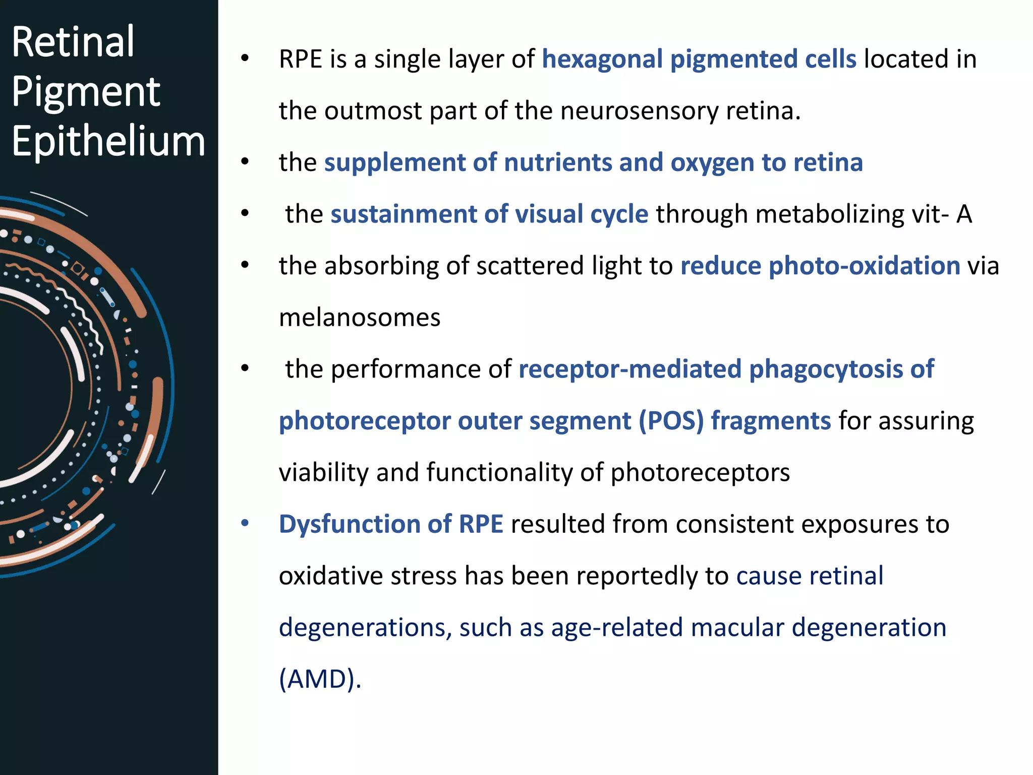 Lipids and eye | PDF