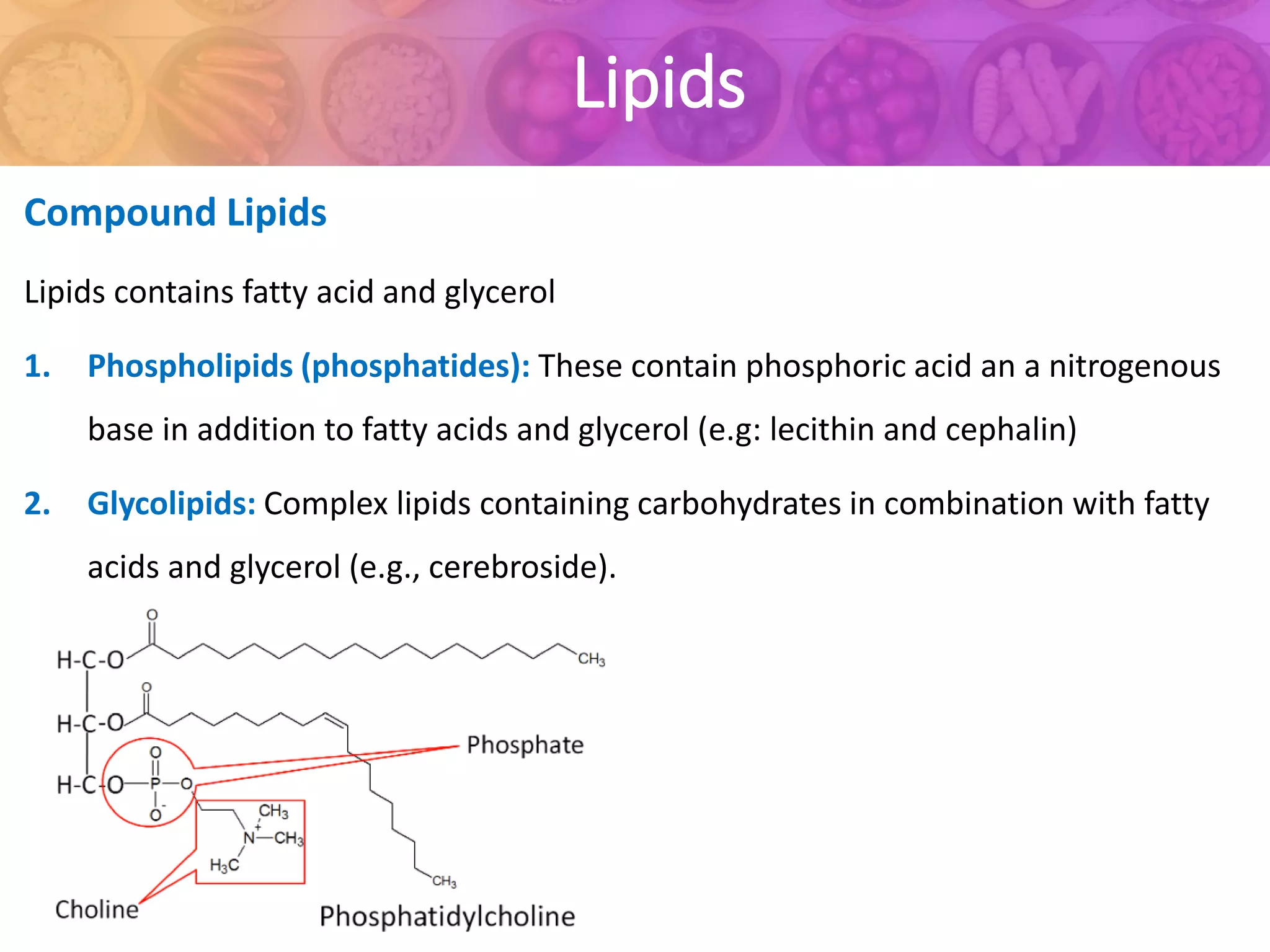 Lipids and eye | PDF